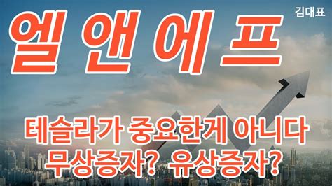 엘앤에프 무상증자 유상증자 가능성 ㅣ 엘앤에프 엘앤에프주가 엘앤에프2차전지 엘앤에프목표가 엘앤에프실적 엘앤에프테슬라