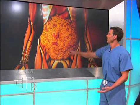 What Visceral Fat Does To The Body The Doctors Youtube