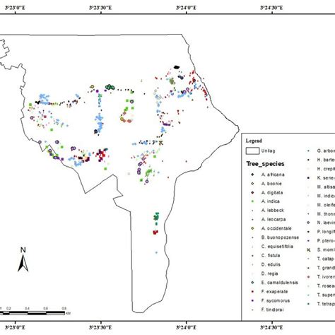 Mapping Of Tree Species Distribution In The Study Area Download Scientific Diagram