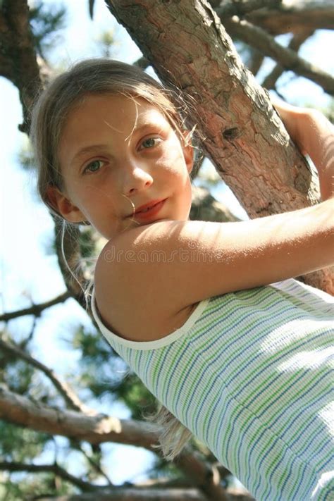 Fille Dans Un Arbre Photo Stock Image Du Gens Adolescent