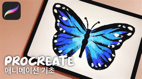 프로크리에이트 기초 강좌 🦋나비 애니메이션 Youtube