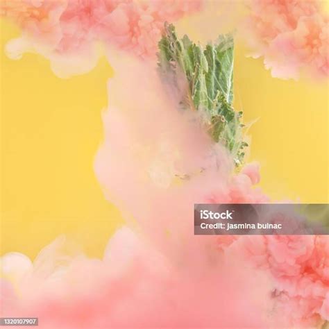 노란색 배경에 추상적인 파스텔 산호 분홍색 페인트녹색 야채 잎 예술 창조적 인 개념 복사 공간이 있는 천연 유체 잉크 컴포지션 0명에 대한 스톡 사진 및 기타 이미지
