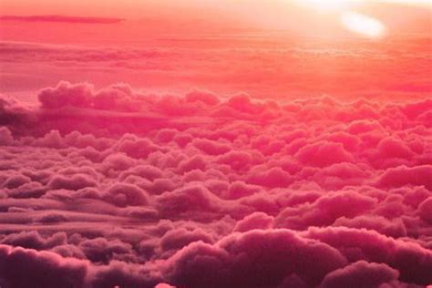 فکت راجب چپ دست ها تستچی