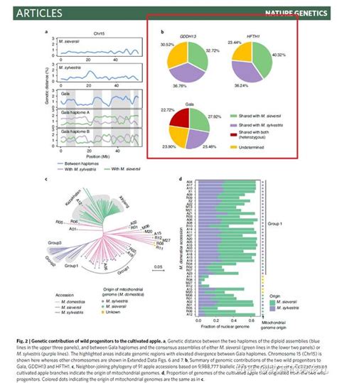 跟着nature genetics学画图：r语言ggforce包画饼状图 知乎
