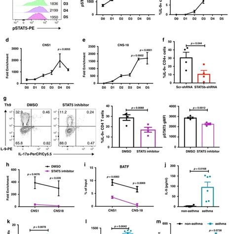 Lineage Specific Batf Binding And Chromatin Structure At The Il9