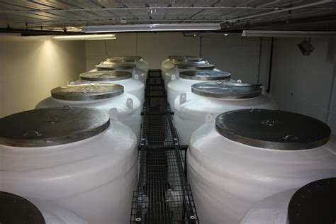 Billionaire Magazine Bllnr The Truth About Cryogenics