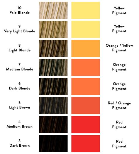 The Best 16 Red Hair Color Chart Levels Frontun Color Correction Tips