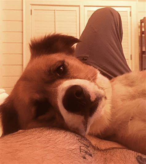 Chris Evans Tattoos A Guide To The Actors Ink Next Luxury