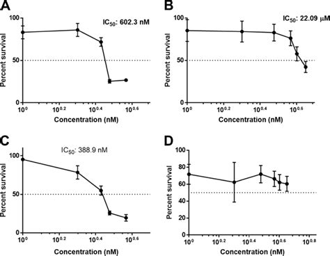 Effect Of Galactose And Glucose On Cell Proliferation In The Presence