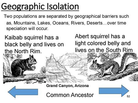 Geographic Isolation Examples Geographic Isolation Examples