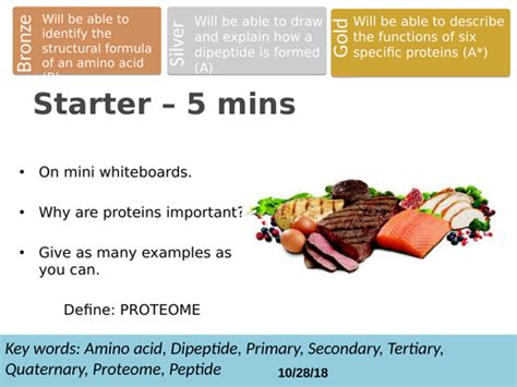 ib biology sl unit 2 proteins teaching resources