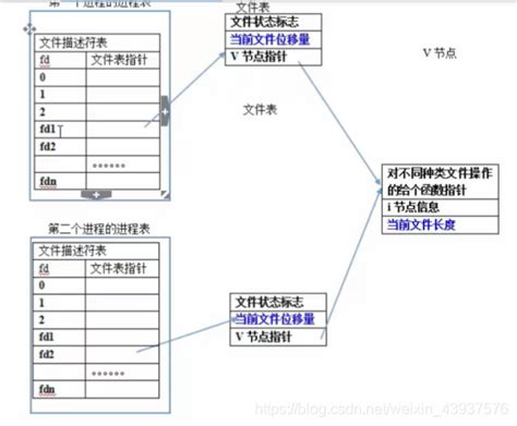 父子进程共享文件子进程和父进程共享哪些资源 Csdn博客