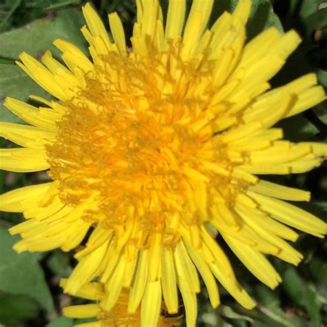 N D Tante Colli Threads Say More