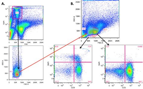 Facs Staining Buffer Recipe Infoupdate Wallpaper Images