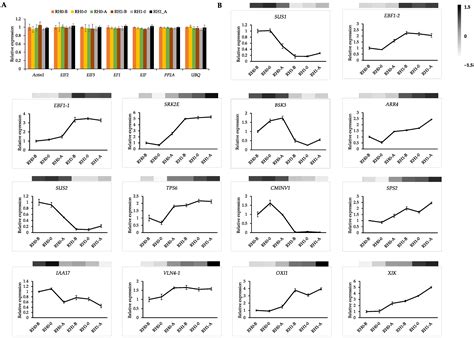 Comparative Transcriptome Analysis Reveals The Interaction Of Sugar And