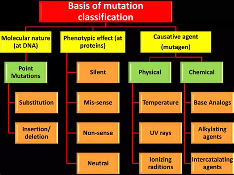 Mutation And Its Types Ppt