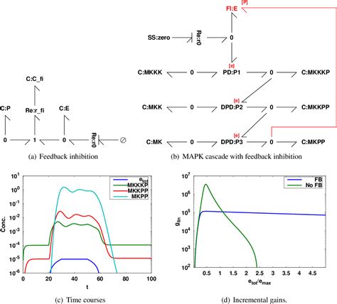 figure 1 from modular bond graph modelling and analysis of biomolecular