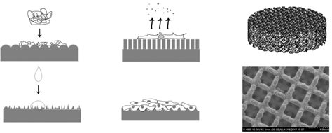 Nano Scale Surface Modification A And 3d Structure Formation B The Download Scientific