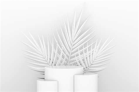 기하학적 형태의 추상적 최소 장면입니다 잎이 있는 실린더 연단 제품 프리젠 테이션 모의 화장품 연단 무대 받침대 또는 플랫폼을