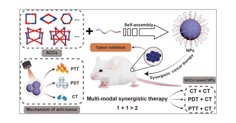 Supramolecular Coordination Complexes For Synergistic Cancer Therapy Accounts Of Chemical Research