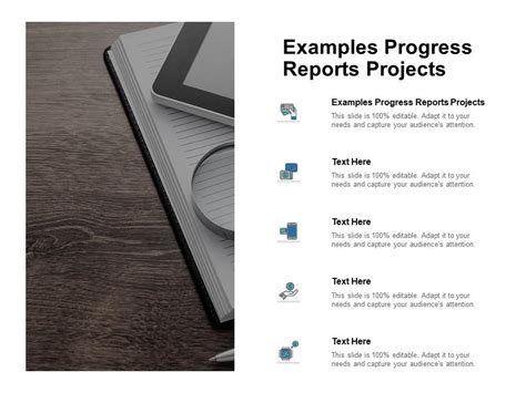 Examples Progress Reports Projects Ppt Powerpoint Presentation Styles Portrait Cpb