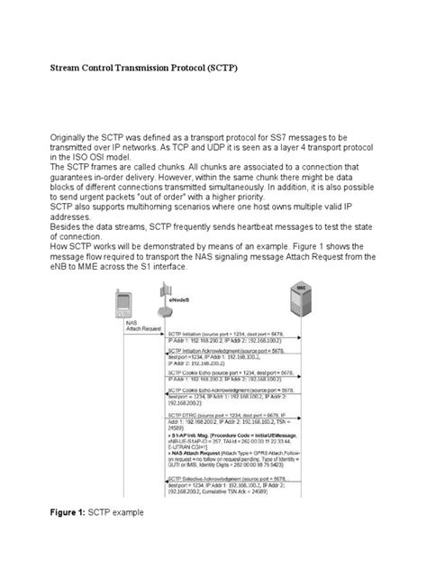 Stream Control Transmission Protocol Download Free Pdf Transmission Control Protocol