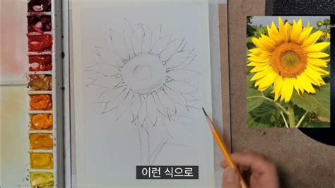 해바라기 밑그림 스케치 Youtube