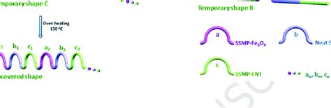 Schematic Of The Selective Shape Recoveries Of The Multicomposite Ssmp Download Scientific