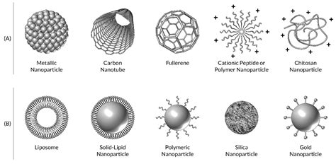 Nanomaterials Free Full Text Nanomedicines For The Delivery Of Antimicrobial Peptides Amps