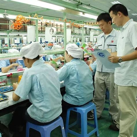 Product Quality Sorting And Rework Services Amber