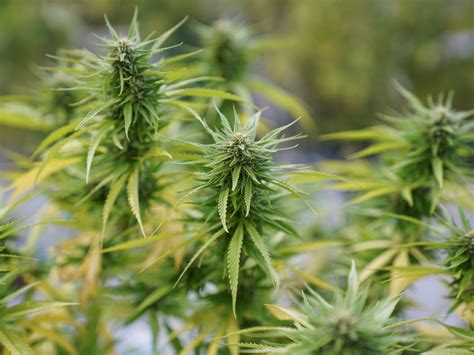 Cuáles Son Los Nuevos Requisitos Que Impuso El Gobierno Para Acceder Al