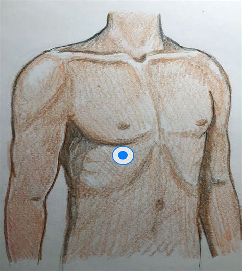 V4 Right Ecg Guru Instructor Resources