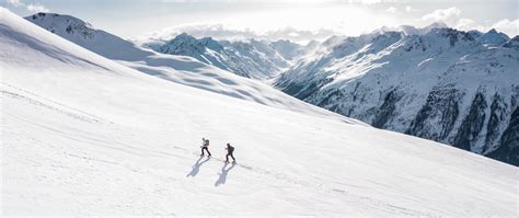 Do Collagen Peptides Have Calcium Understanding The Connection Bubs