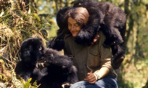 What Is Dian Fossey Most Famous For Gorilla Trekking In Rwanda