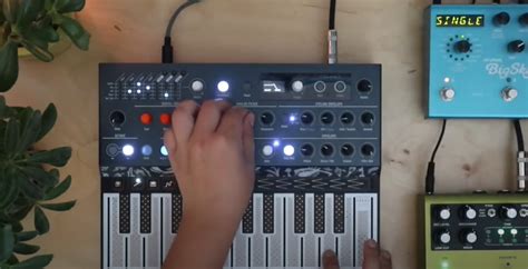 Midi Keyboard Vs Synthesizer Whats The Difference Musicprofy