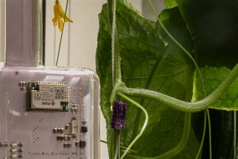 How Plant Driven Technology Works Vivent Biosignals