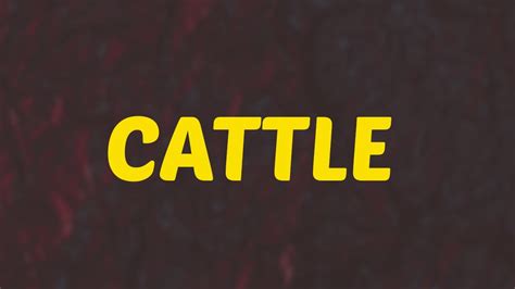What Does Cattle Means Meanings And Definitions With Example In