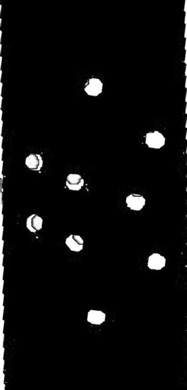 Opencv Image Perspective Transform In C Stack Overflow