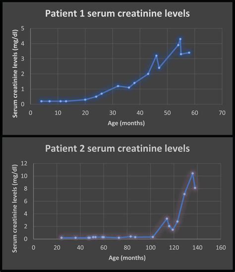 Serum Creatinine Levels Of Patients 1 And 2 Over Time Download
