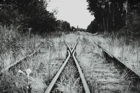 Duitsland 건축 검정색과 흰색 경로 경치 고립된 고요한 광야 교통 권리 그레이스케일 금속 나무 나뭇잎 네덜란드 농촌의 독일 무성한