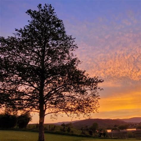 Richard Mulvihill Youtube