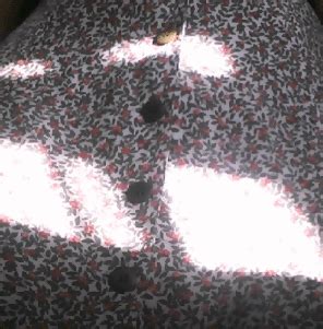 Stroke And Suck Porn Photo