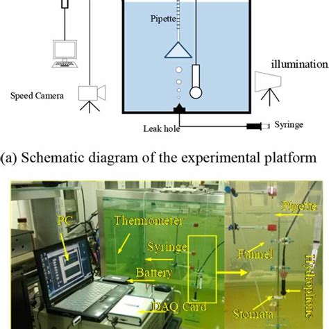 underwater gas escape simulation platform laboratory conditions a