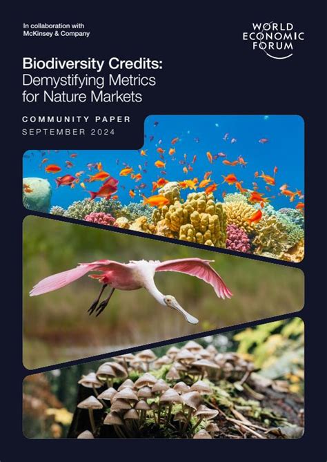 Biodiversity Credits Demystifying Metrics For Nature Markets Mckinsey
