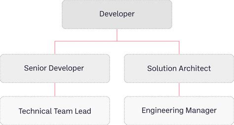 Netsuite Developer Career Spotlight Anderson Frank Careers And Hiring