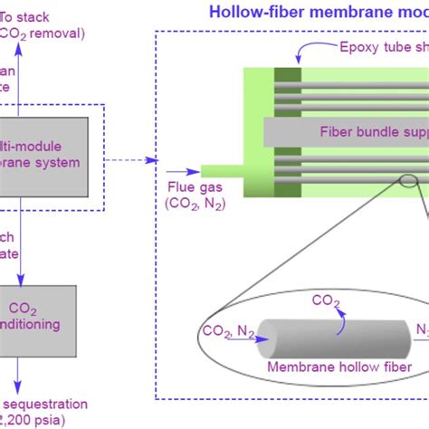 Oxygen Enrichmentnitrogen Enrichment Using A Permselect ® Membrane Download Scientific Diagram