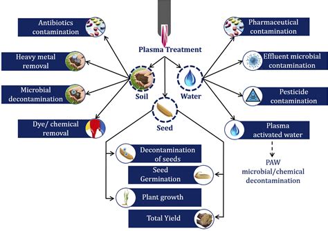 Plasma Processing A Sustainable Technology In Agri Food Processing Sustainable Food