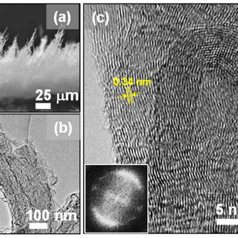 A Cross Sectional View Fesem Micrograph Of Laser Induced Graphene