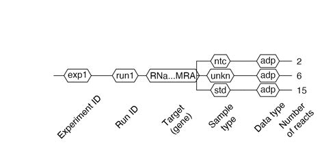Using The RDML Package RDML