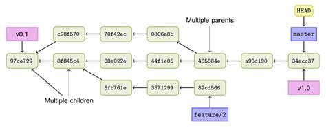 Using The Dag Linear Ordering Model Framework In The Tangle By